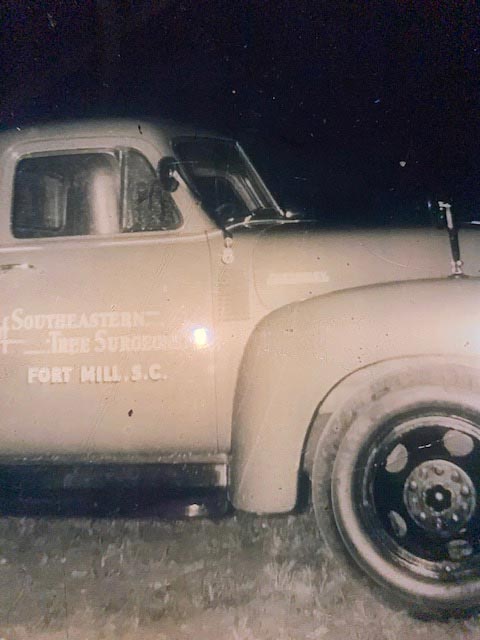 About Southeastern Tree & Landscaping - Professional Arborist Rock Hill ...